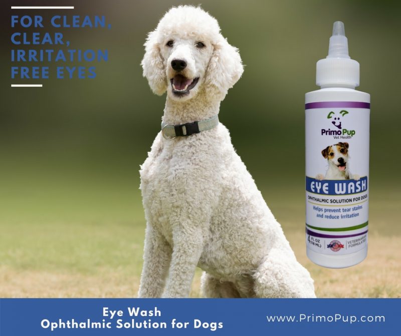 Eye Wash for Dogs